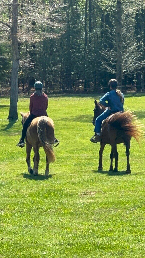 Photos | North Star Stables